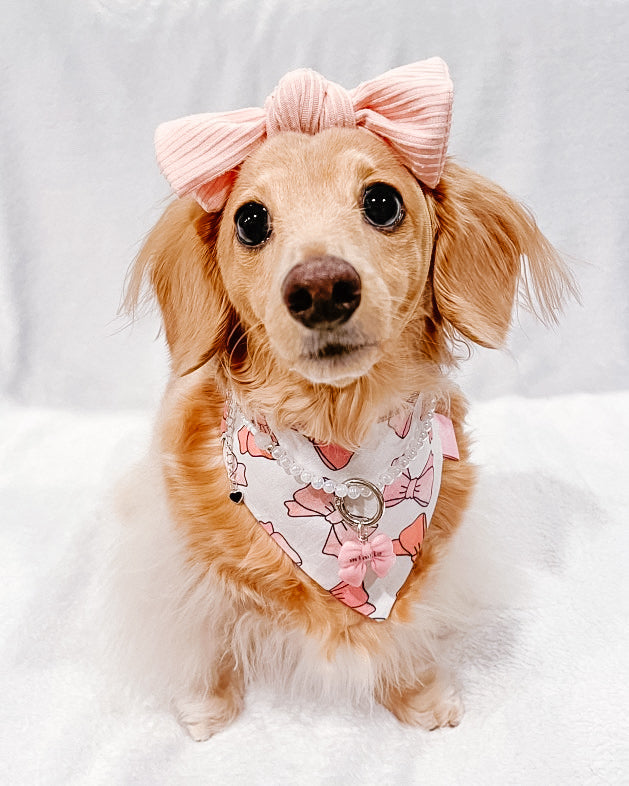 Handmade and Custom Designed Pet Accessories and Dog Mom Gear – StellaLoo