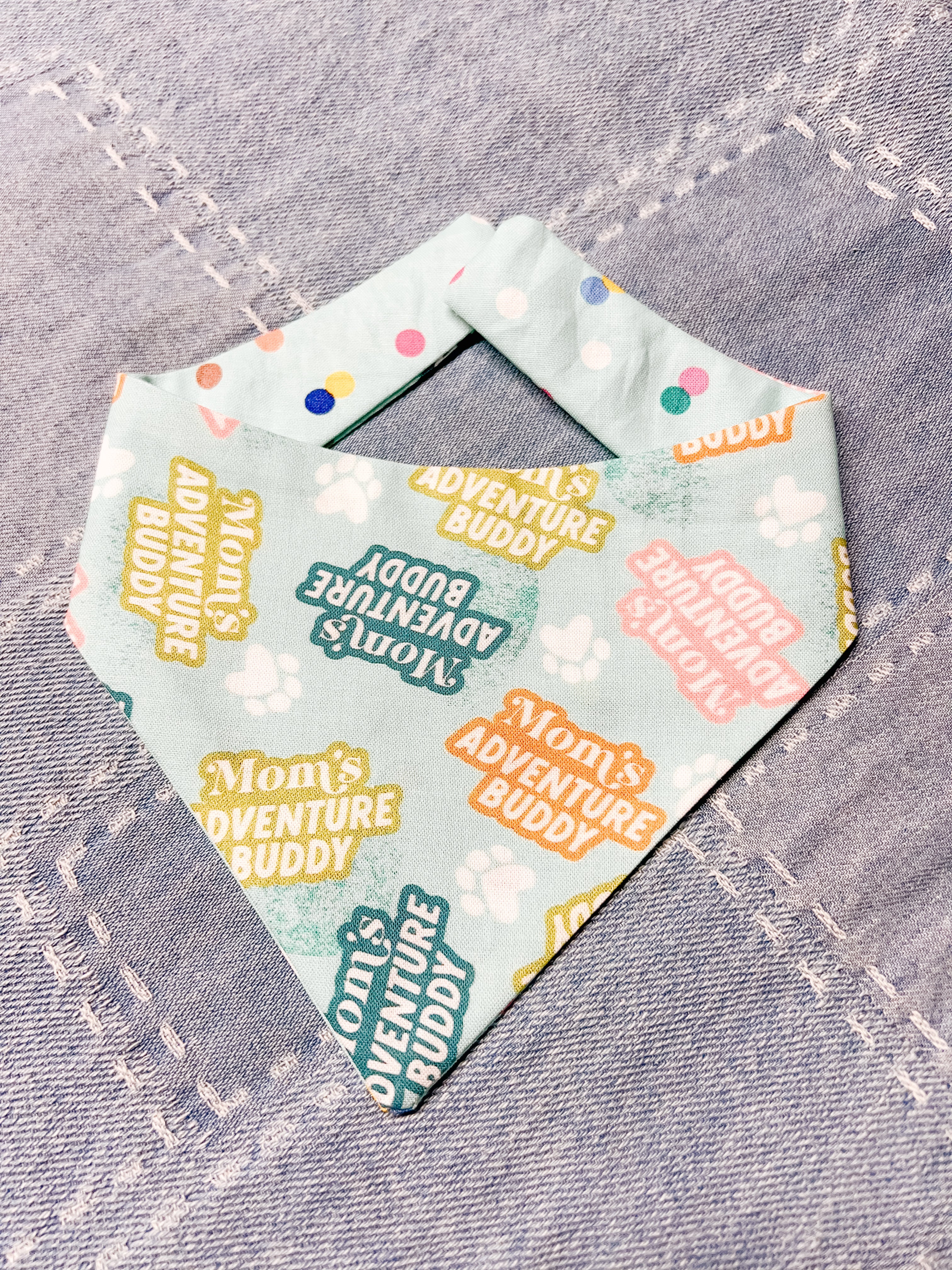Moms Adventure Buddy – StellaLoo