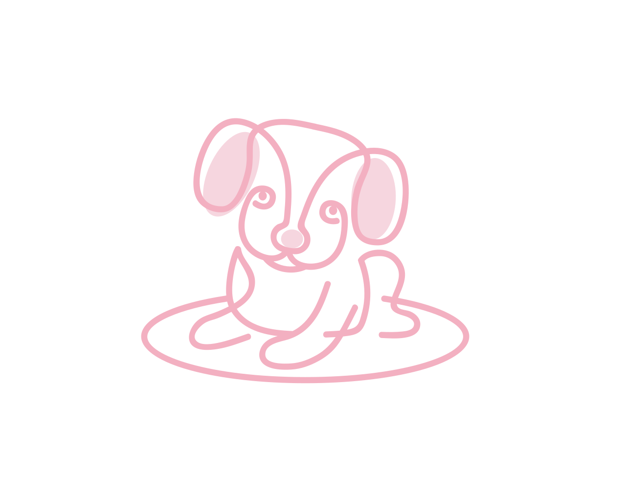 Collections – StellaLoo