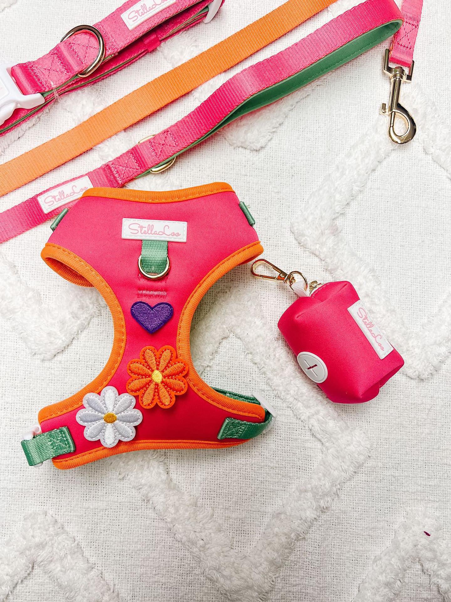 Hot Pink Leash – StellaLoo